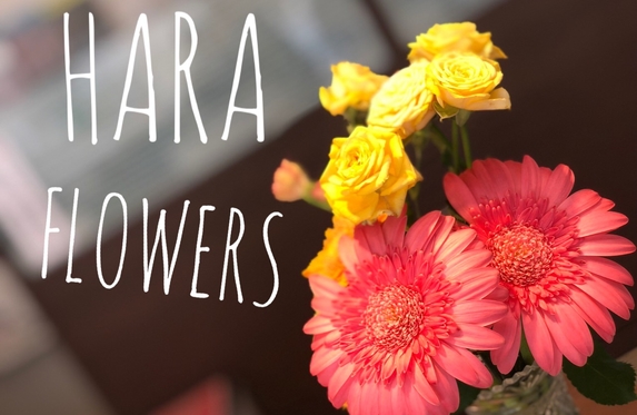 HARA?FLOWERS?